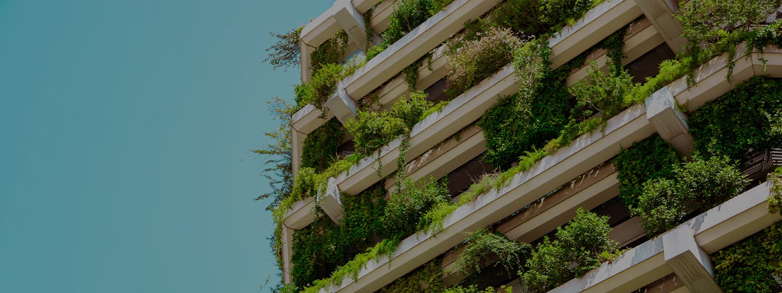 Archipelago | JLL Case Study